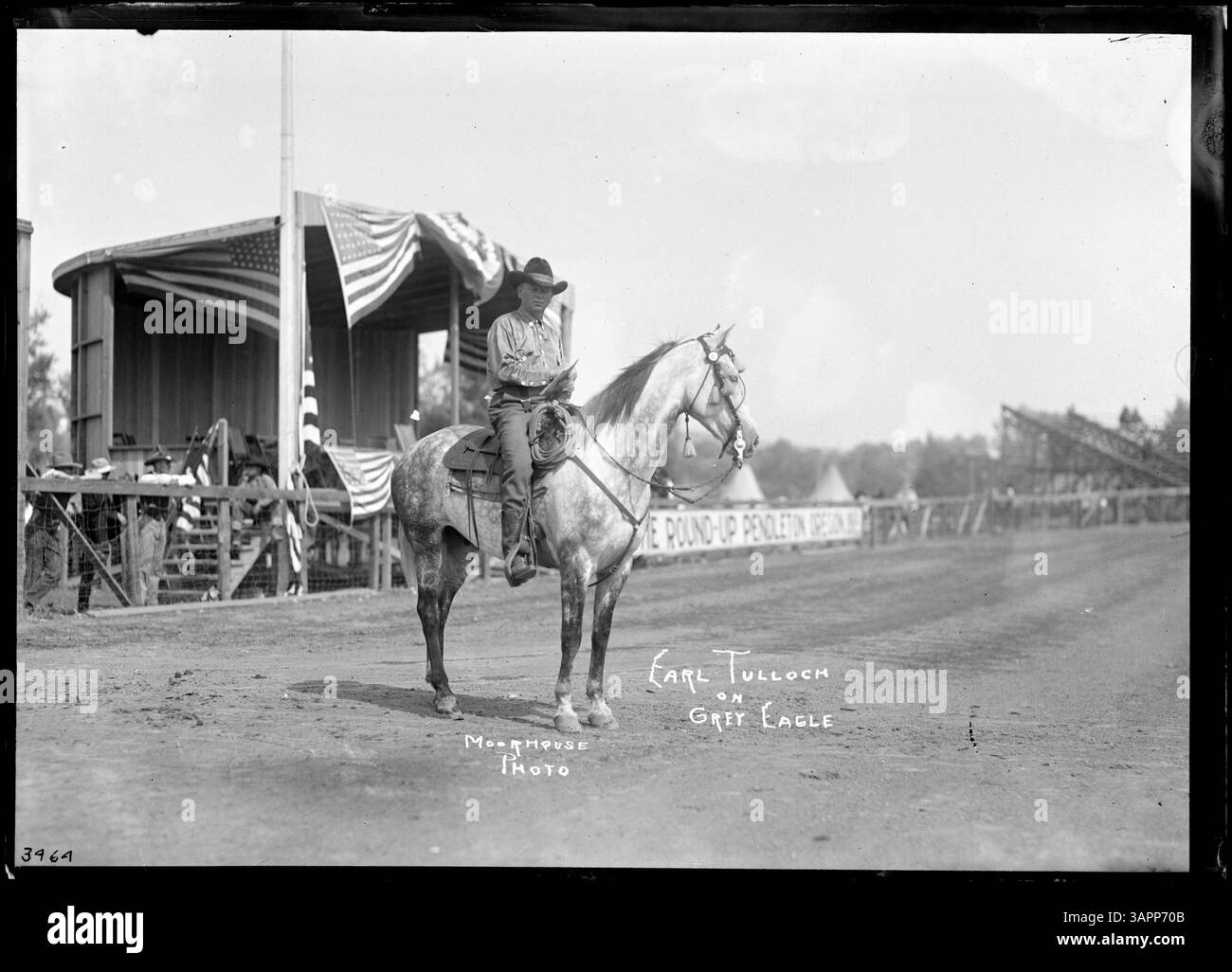 This photograph by Lee Moorhouse shows Earl Tullock on the horse Grey ...