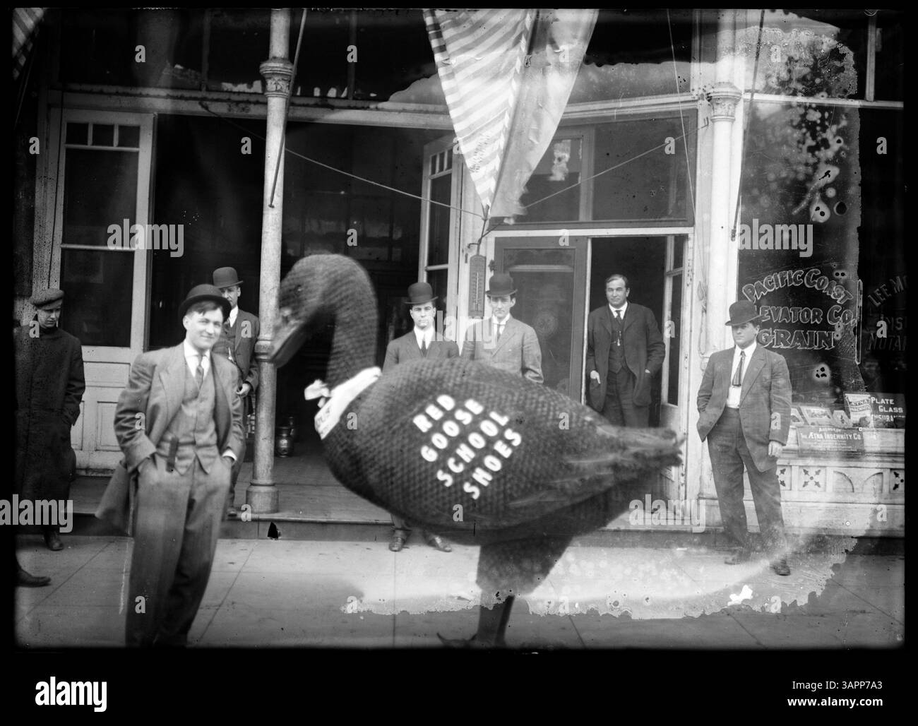 This photograph by Lee Moorhouse shows a goose costume worn for Red ...