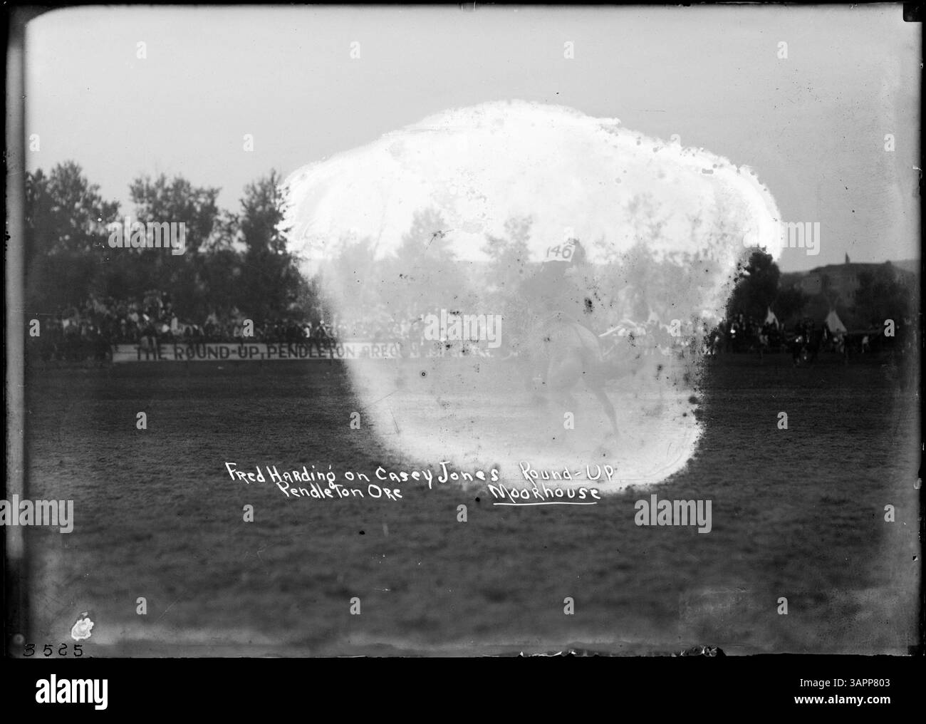 This photograph, labeled PH036 3525, shows Fred Harding on the bucking ...
