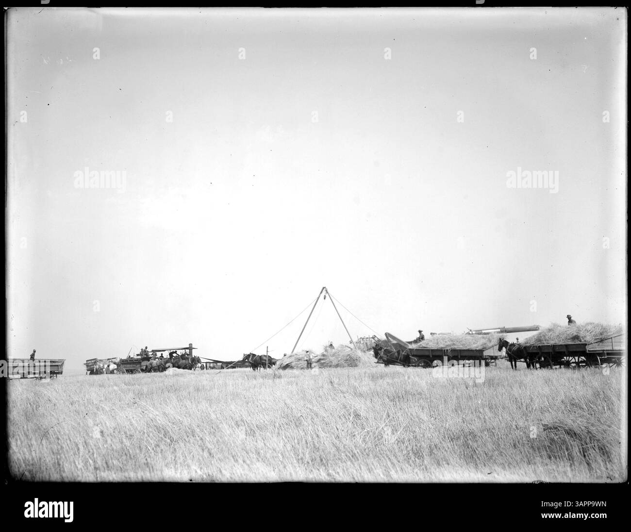 Photo shows headed Black and White Stock Photos & Images - Alamy