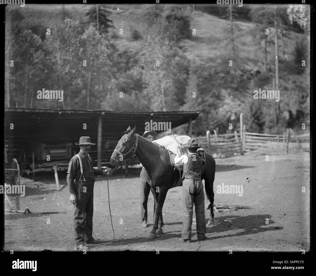 Photograph by Lee Moorhouse showing the loading of a pack horse at ...