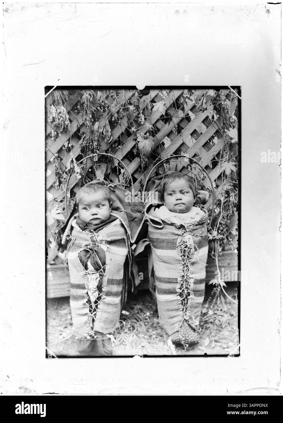 This photograph by Lee Moorhouse features Cayuse twins in a positive ...