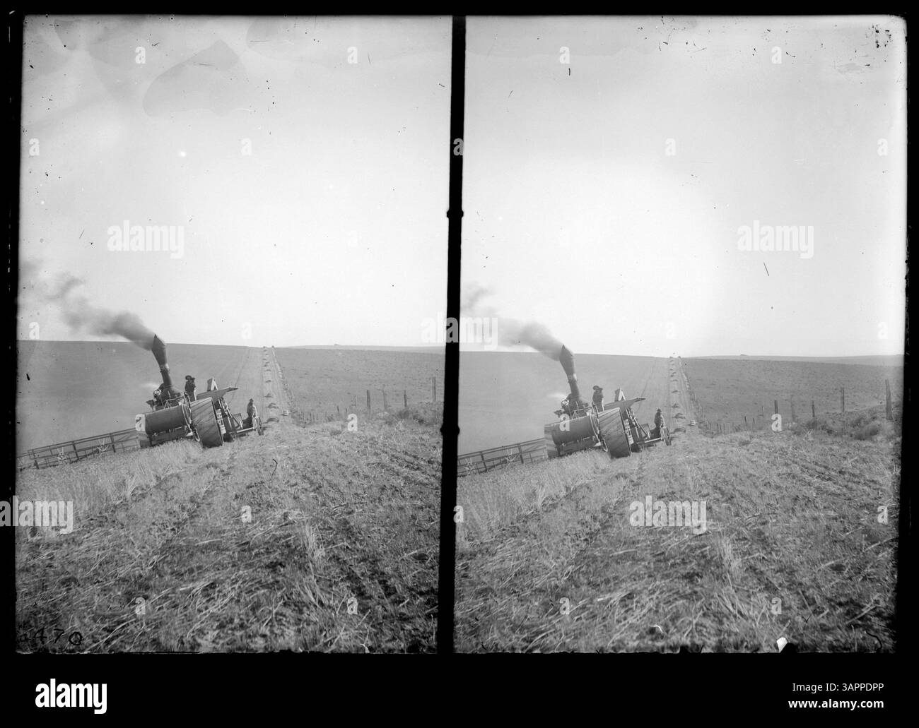 Photograph depicting harvesting operations at the A.B. Cooley Ranch ...