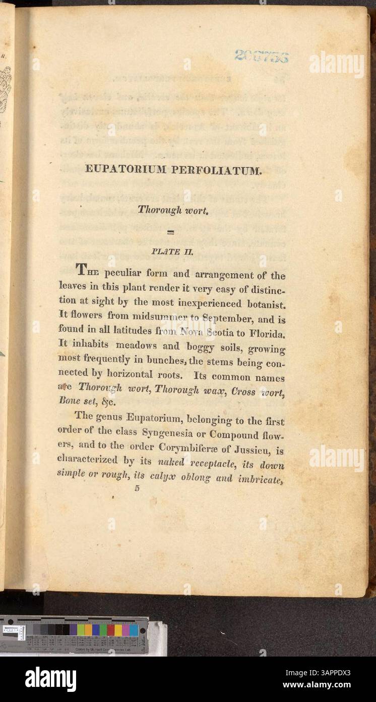 'American Medical Botany' offers a visual and textual compilation of ...