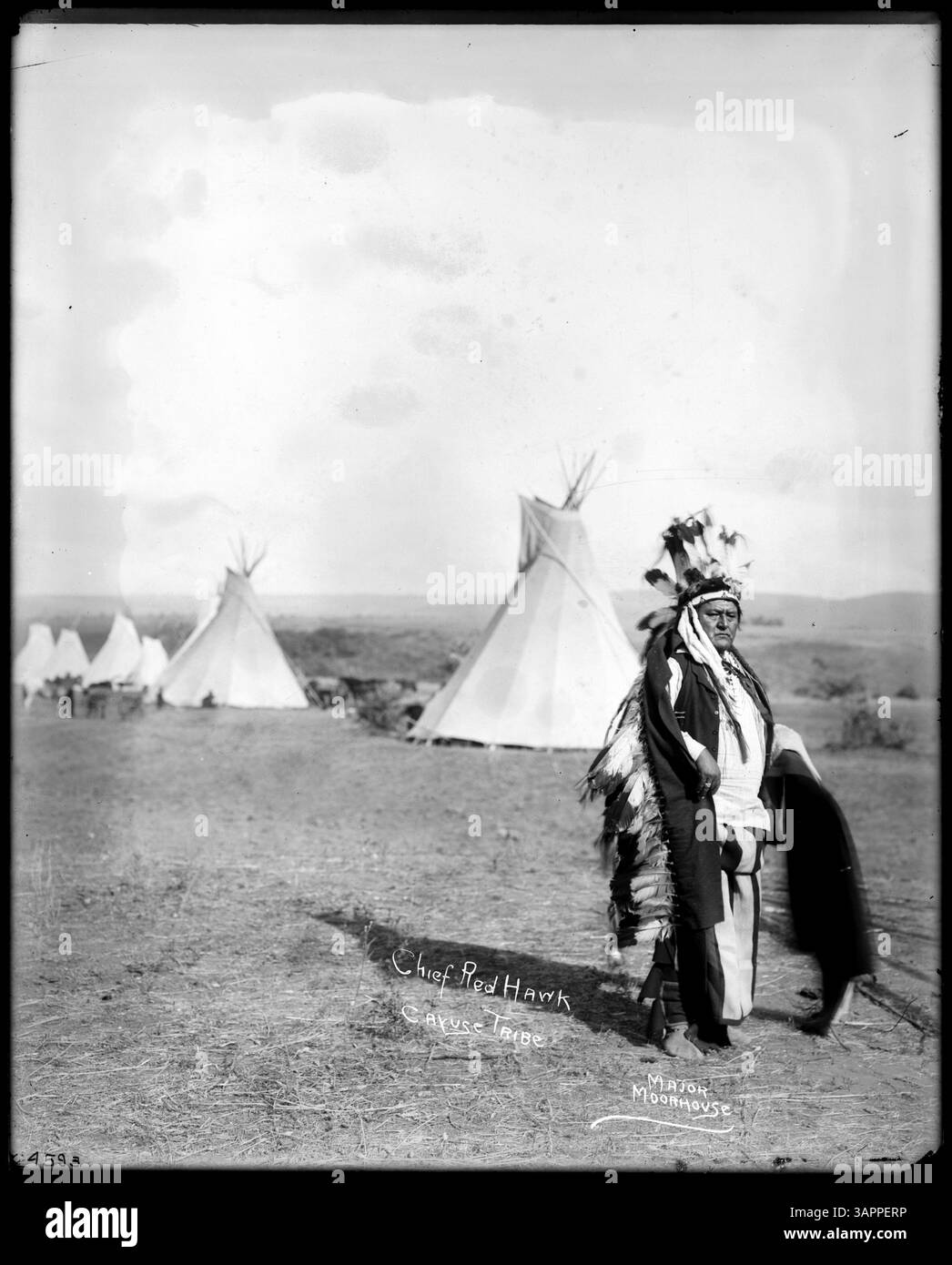 George red hawk hi-res stock photography and images - Alamy