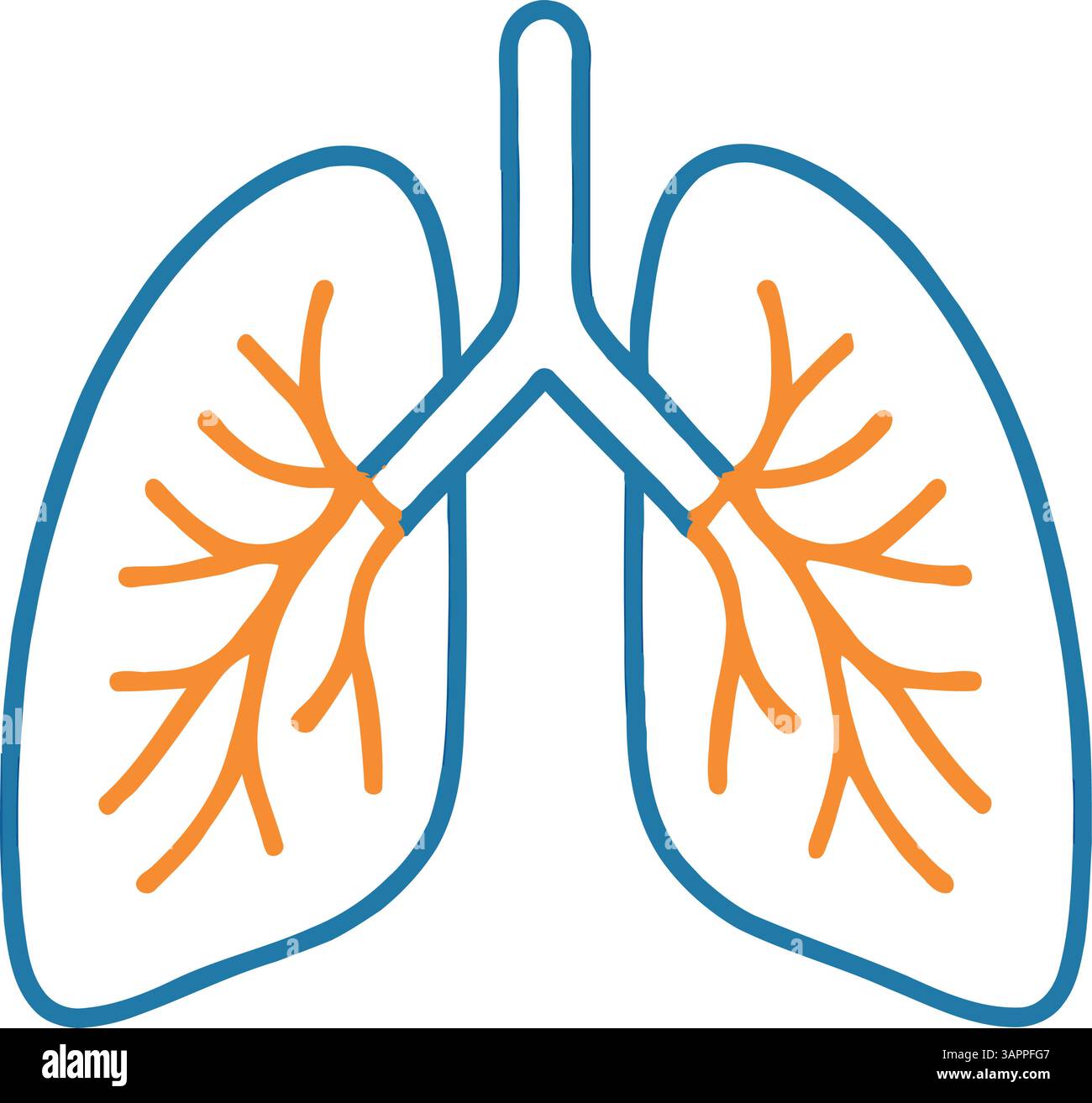 Airways vector Stock Vector Images - Alamy