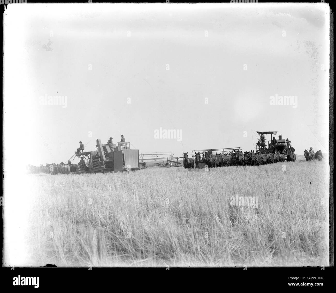 This photo by Lee Moorhouse shows two horse-drawn combines, a farming ...