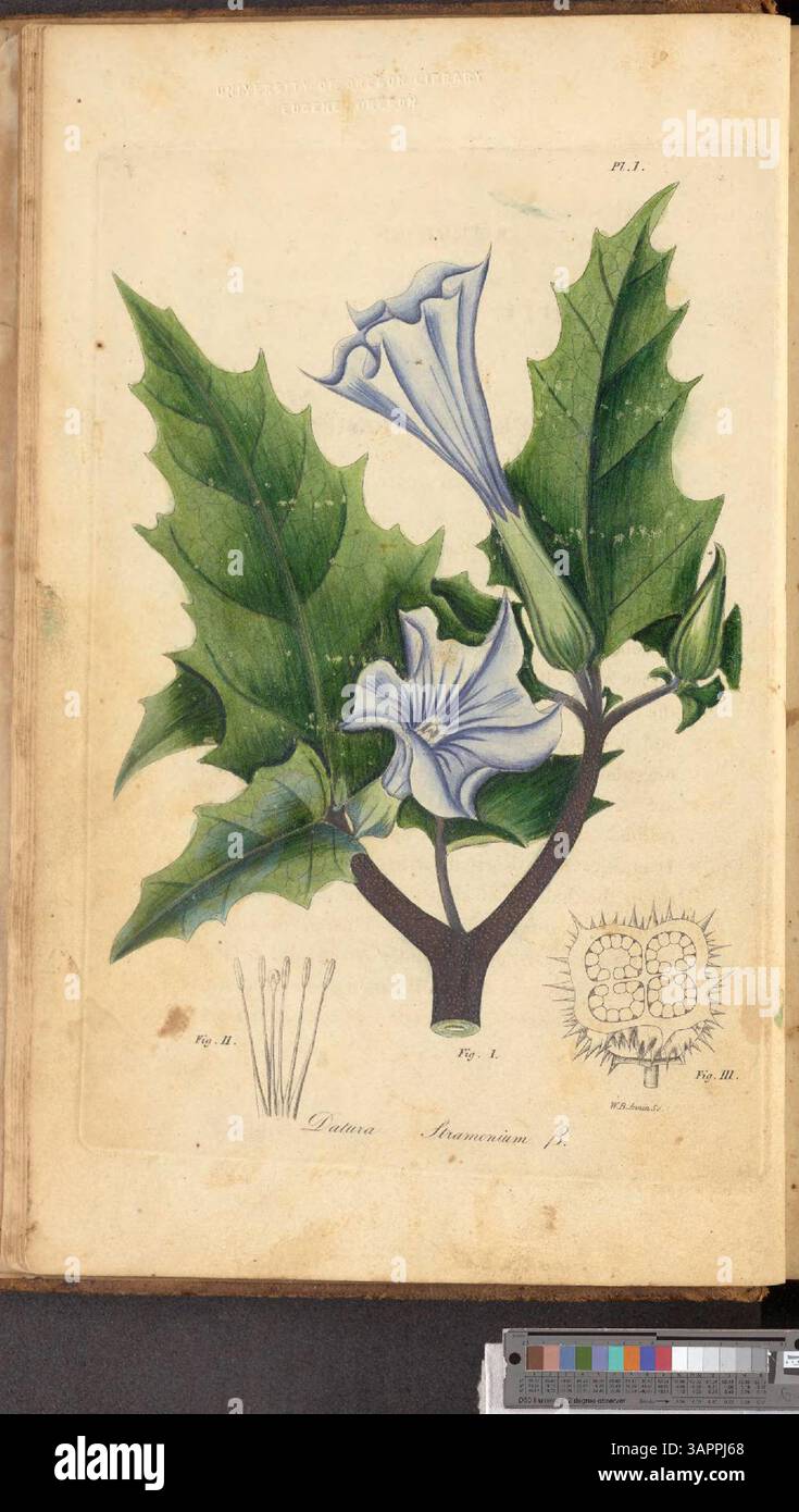 The collection showcases native medicinal plants from the U.S ...