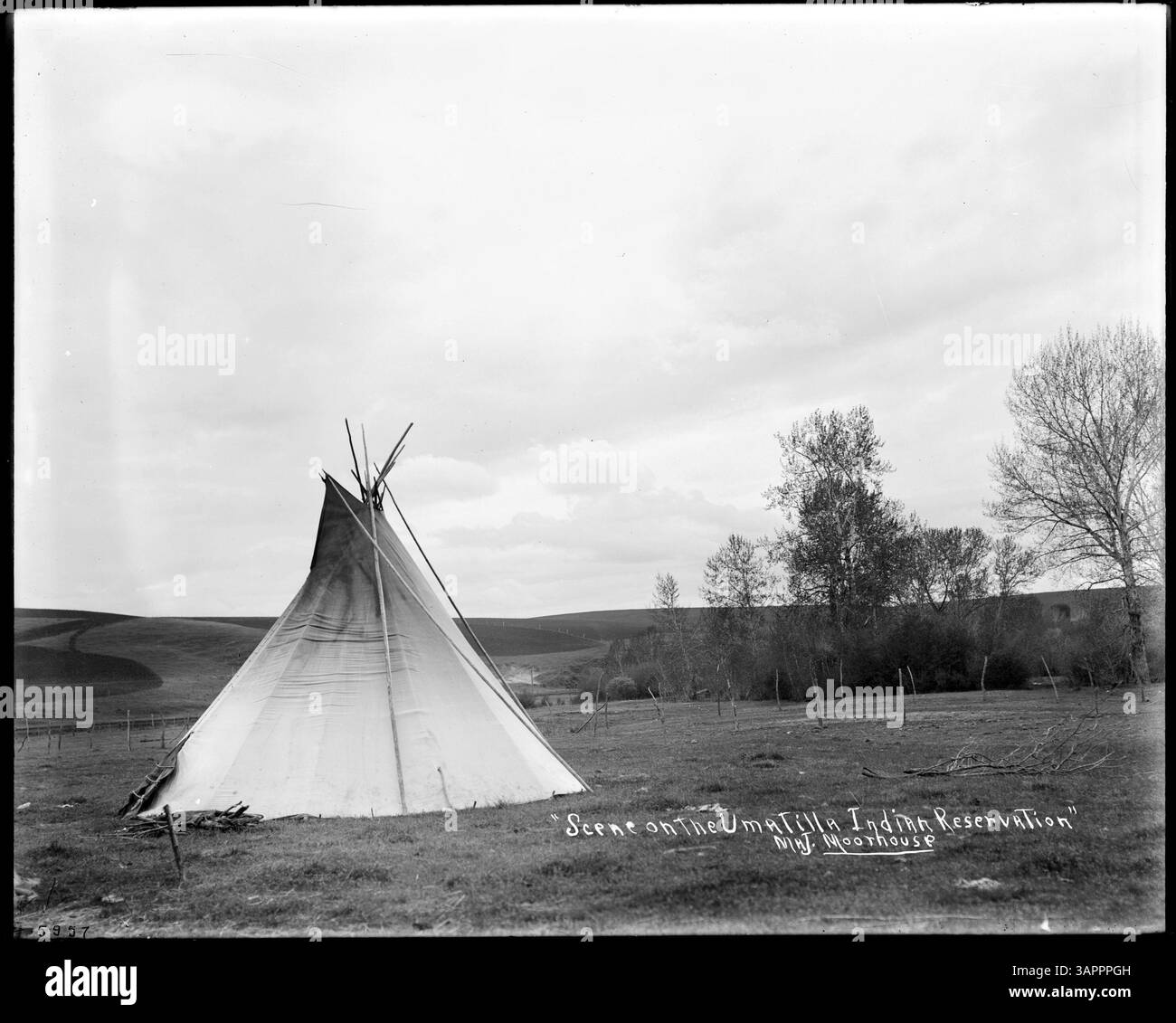 A tipi stands in an open grassy area on the Umatilla Indian Reservation ...