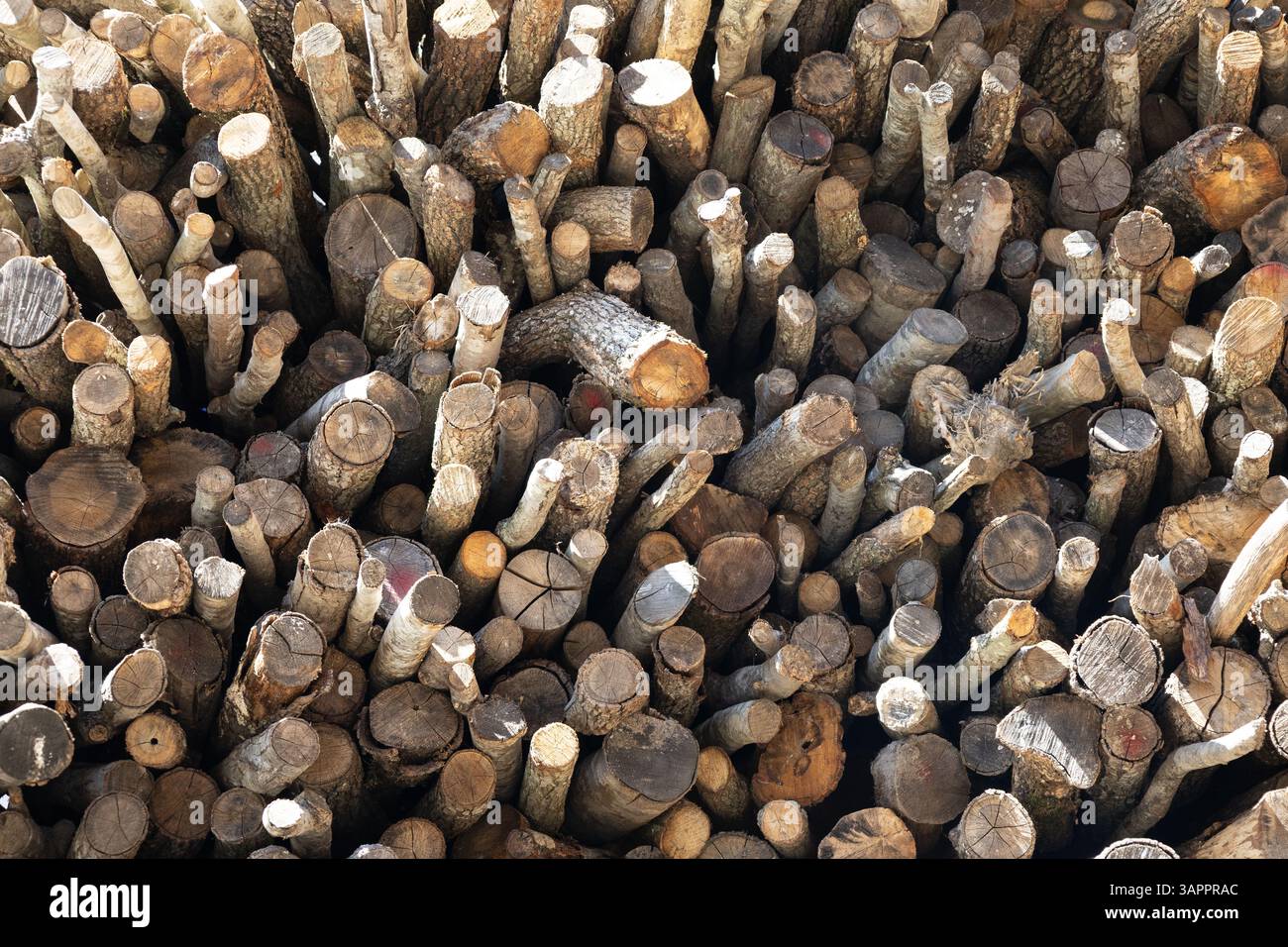 The natural wood surface and the irregular arrangement of the logs ...