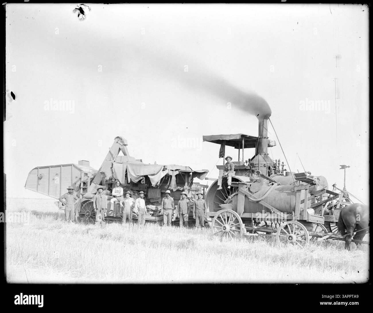 Photograph of a steam tractor-drawn combine, accompanied by a water ...