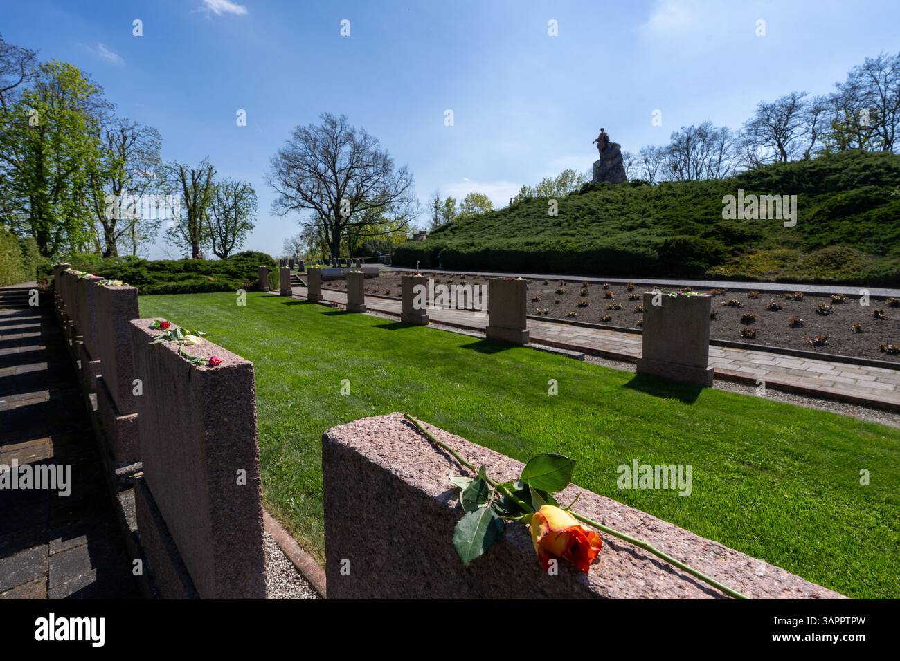 Seelow, Germany. 16th Apr, 2025. A rose lies on a gravestone at the ...