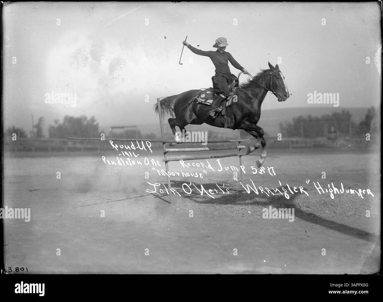 Professional wrangler Black and White Stock Photos & Images - Alamy