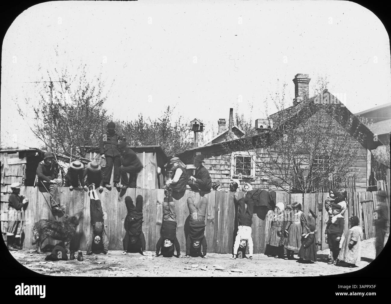 This collection documents the early history of the Bohemian Flats, a ...