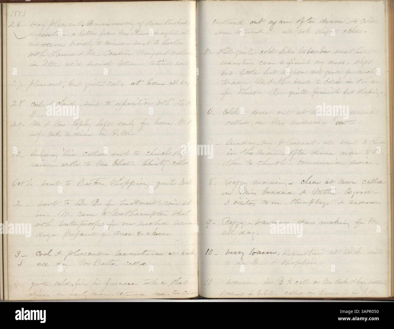 The diary provides a detailed view of life in St. Louis during the 19th ...