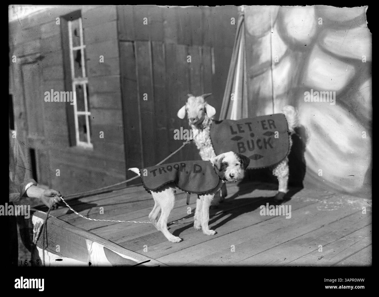 U s army military dog Black and White Stock Photos & Images - Alamy