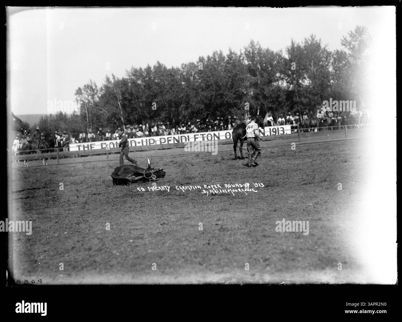This photograph features Ed McCarty steer roping, showcasing the skills ...