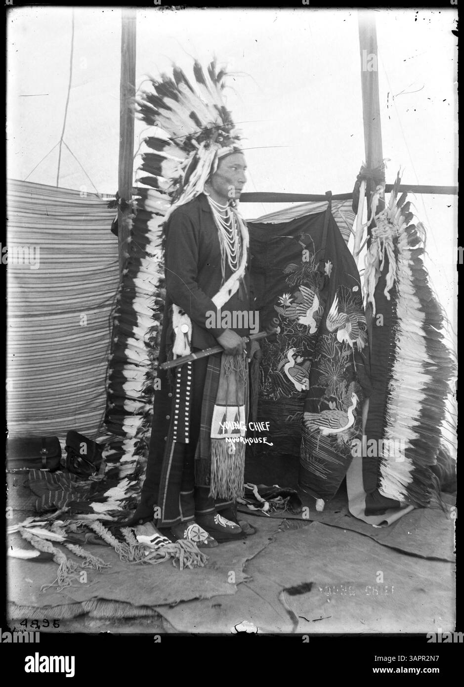 A portrait of a Young Chief, a Cayuse Indian, wearing a war bonnet and ...