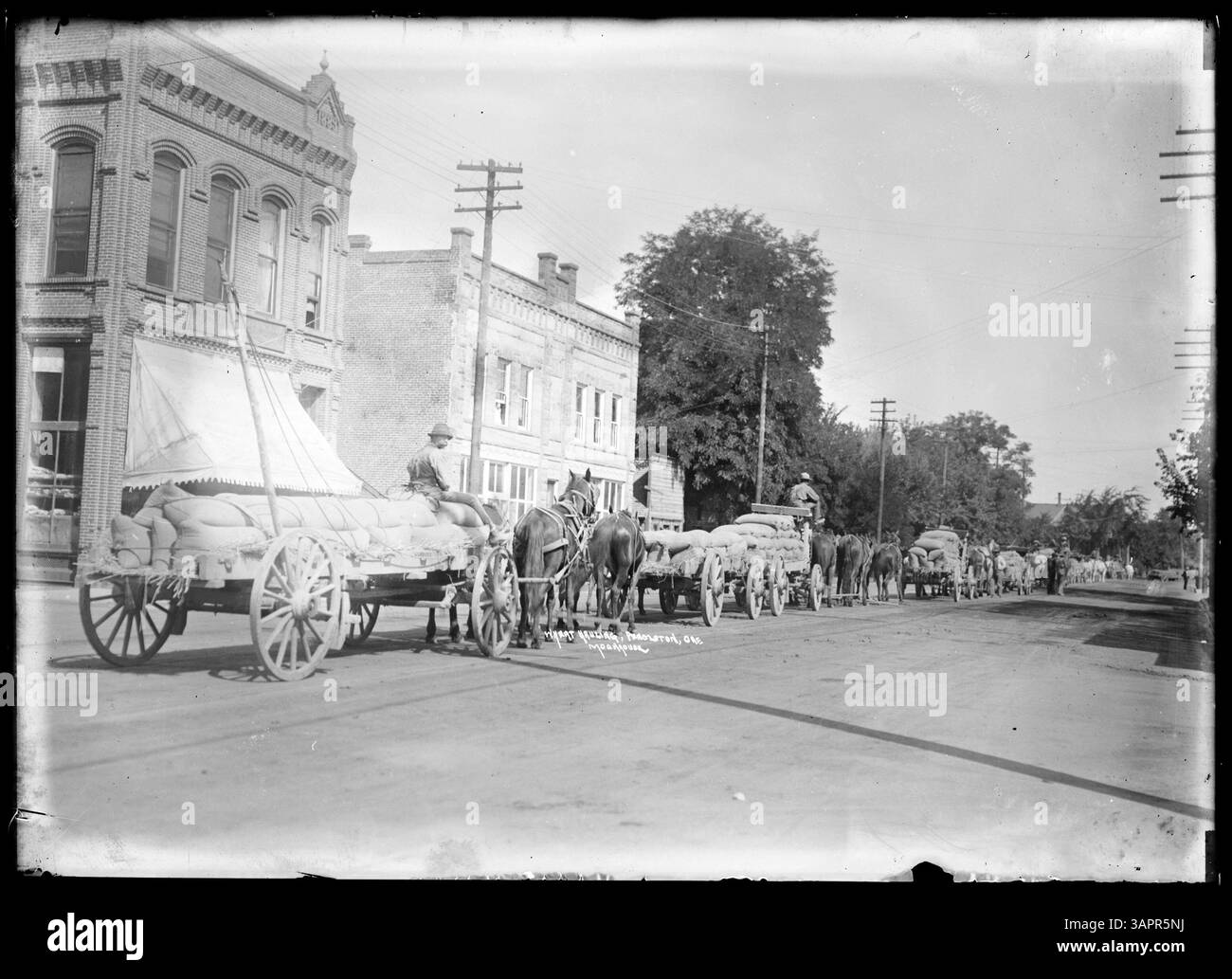 This Lee Moorhouse photograph shows wheat sacks stacked on tandem wagons in Pendleton, a ...