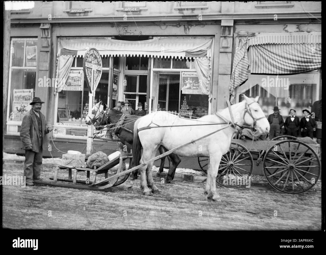 A photograph showing a small horse-drawn sled, capturing the historical ...