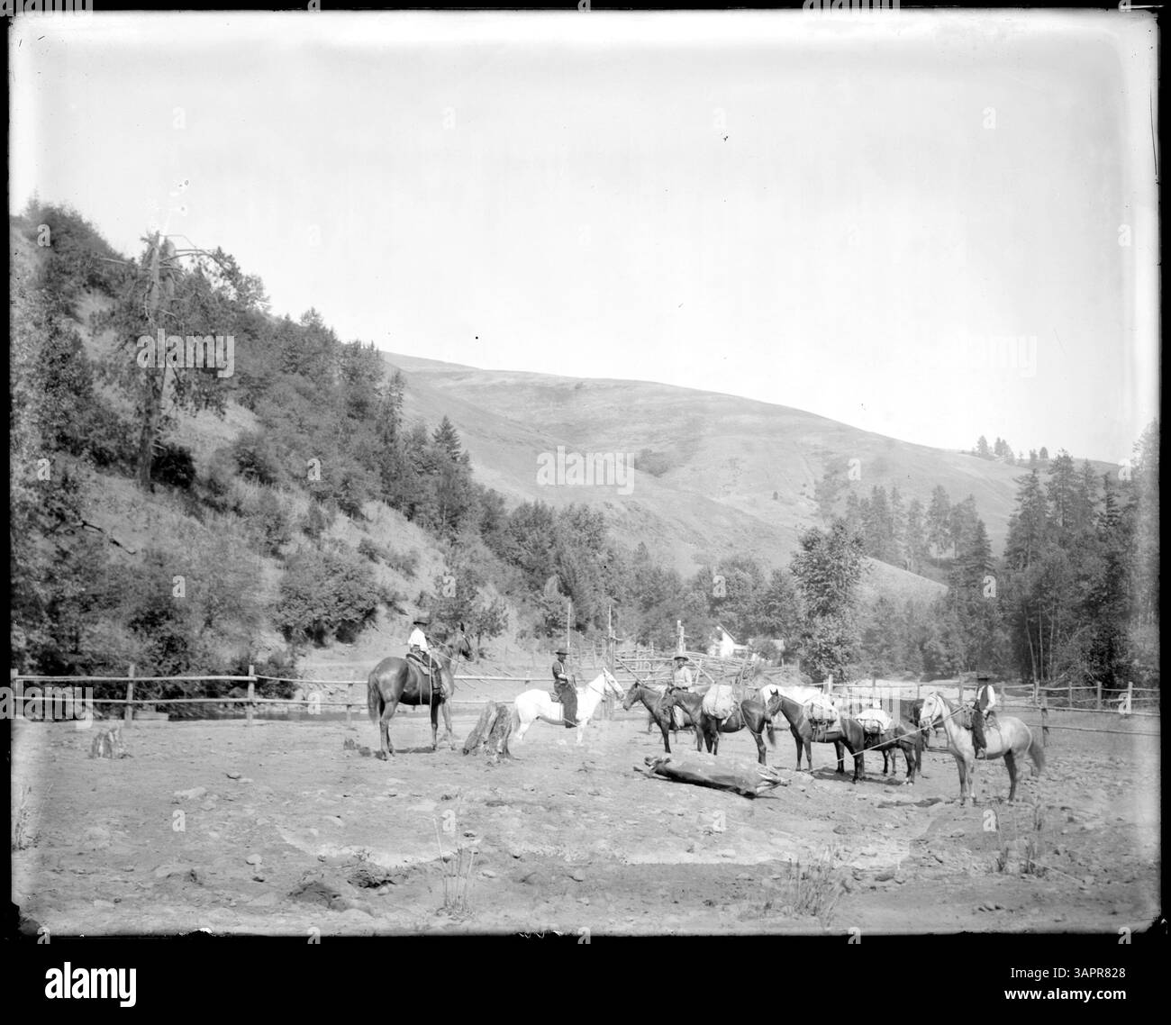 This photograph depicts a corral at Cowboy Thompson's ranch, with a ...