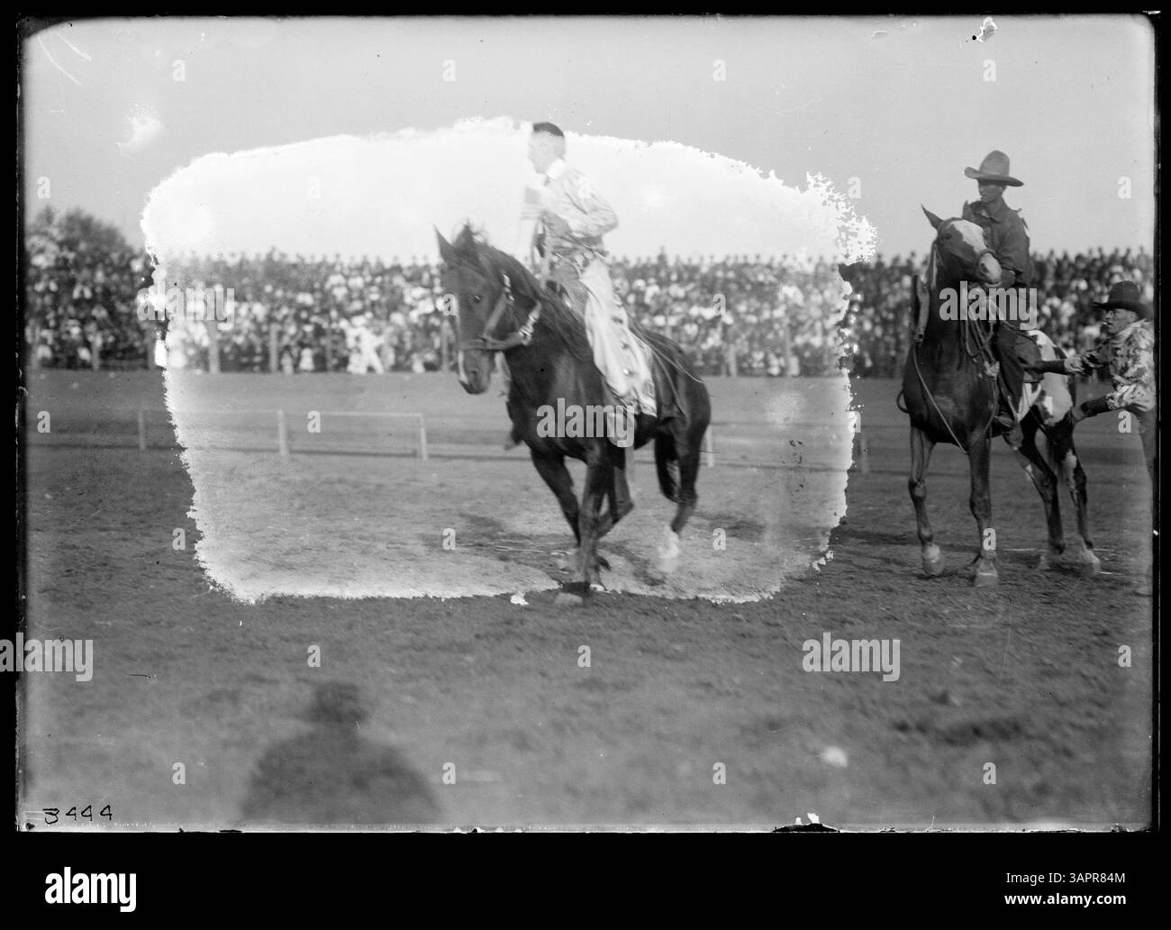 This photograph captures bucking horses in action, showcasing the ...