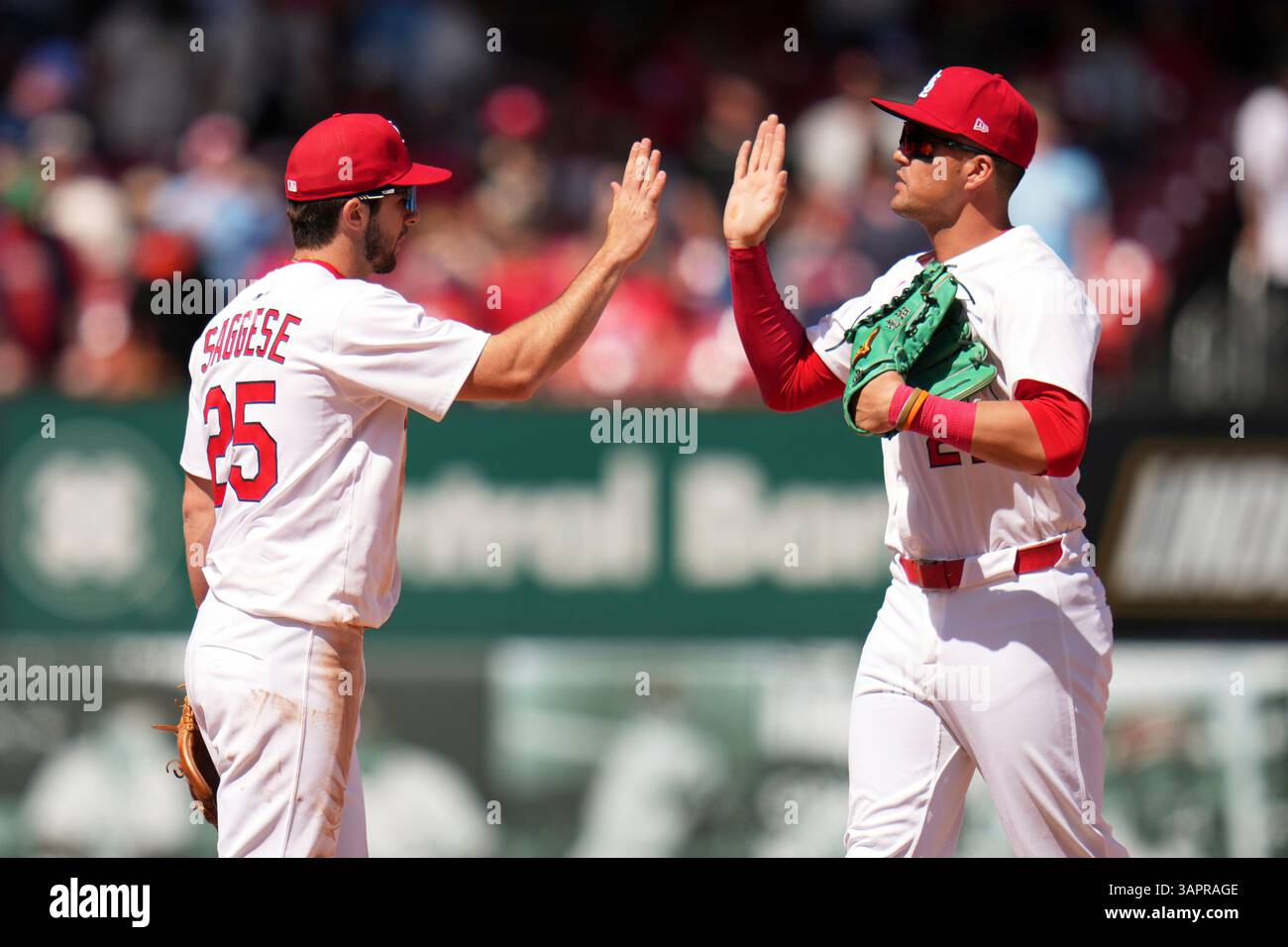 St. Louis Cardinals' Thomas Saggese, left, and Lars Nootbaar celebrate ...