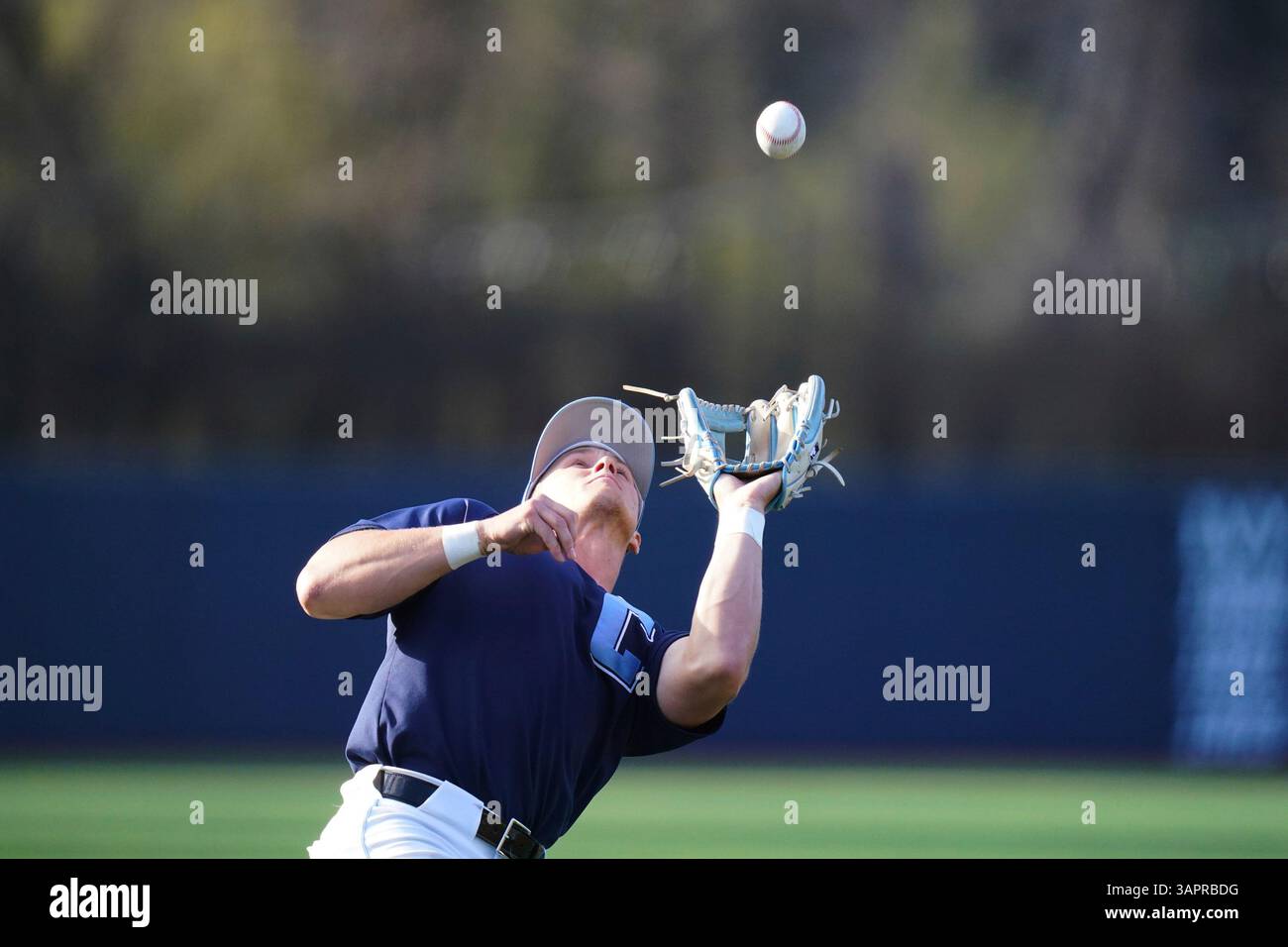 Columbia infielder Griffin Palfrey (17) makes the catch during an NCAA ...