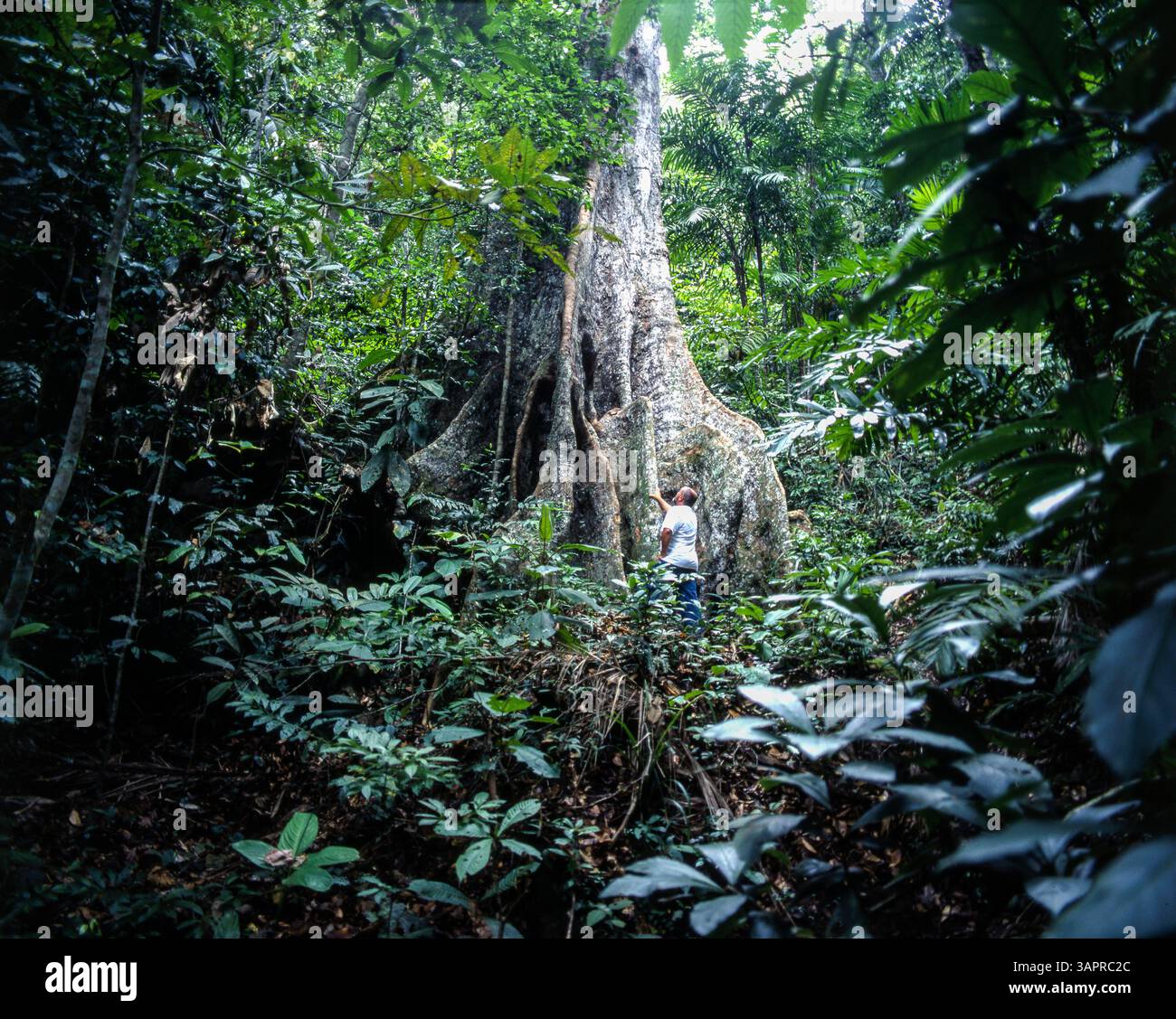 Aragua state venezuela hi-res stock photography and images - Alamy