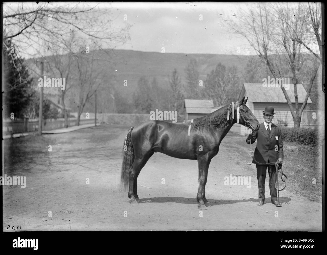 This photograph by Lee Moorhouse shows a horse parade in Pendleton ...