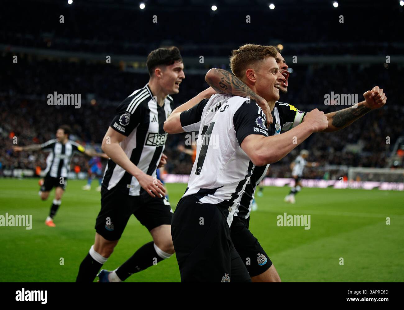 Newcastle, UK. 16th April 2025; St James' Park, Newcastle, England ...