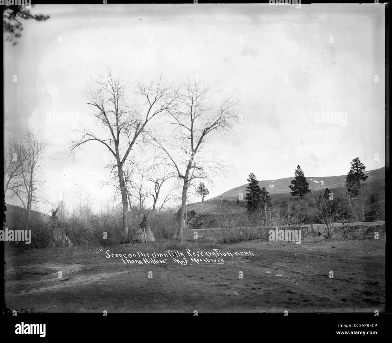 Photograph of camps on the Umatilla Indian Reservation, near Thorn ...