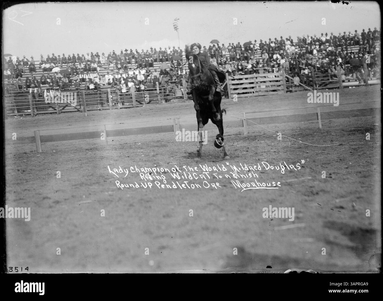 This photograph by Lee Moorhouse shows Mildred Douglas, the 'Lady ...