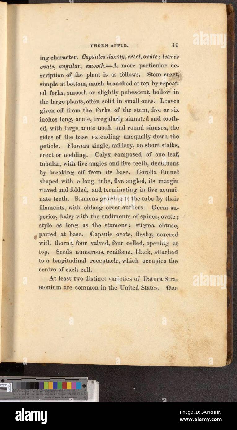 This collection features native medicinal plants of the United States ...