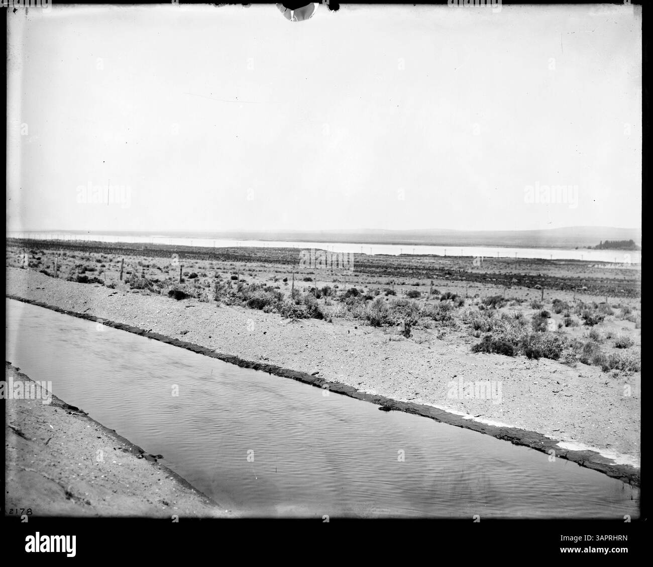 A photograph from the Lee Moorhouse collection showing an irrigation ...