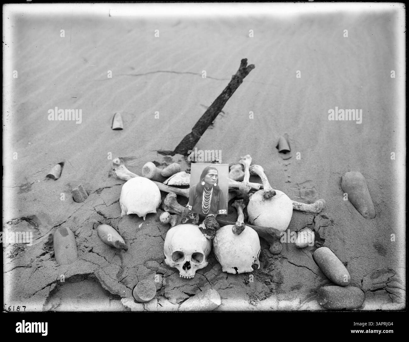 This Lee Moorhouse photograph shows a heap of skulls, bones, and ...