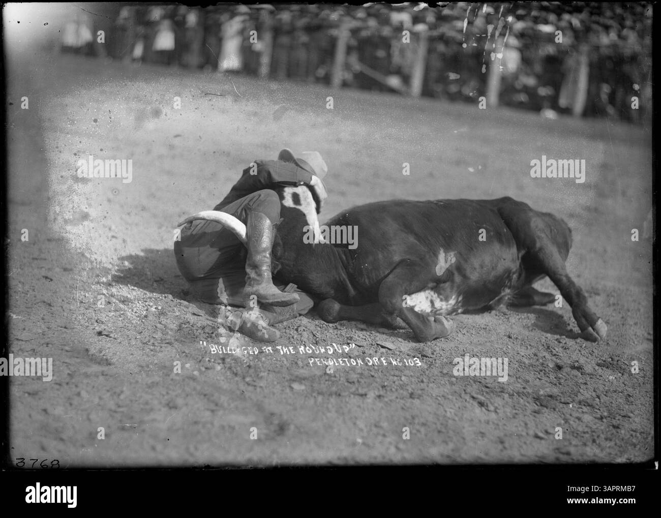 This photograph by Lee Moorhouse captures a bulldogging event, a ...