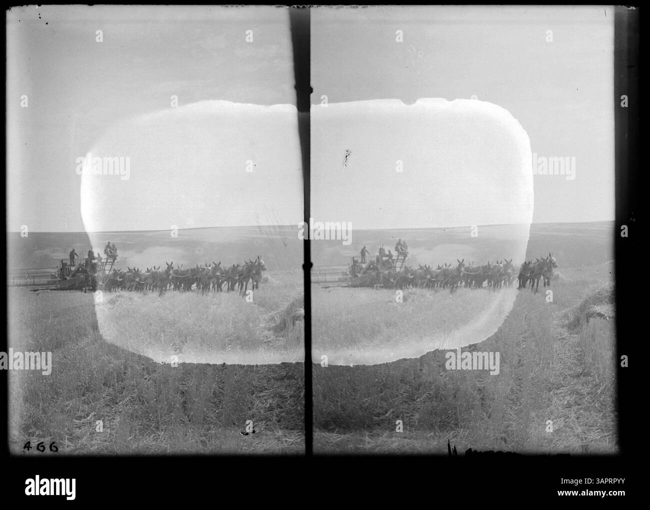 This photograph by Lee Moorhouse captures harvesting operations at A.B ...