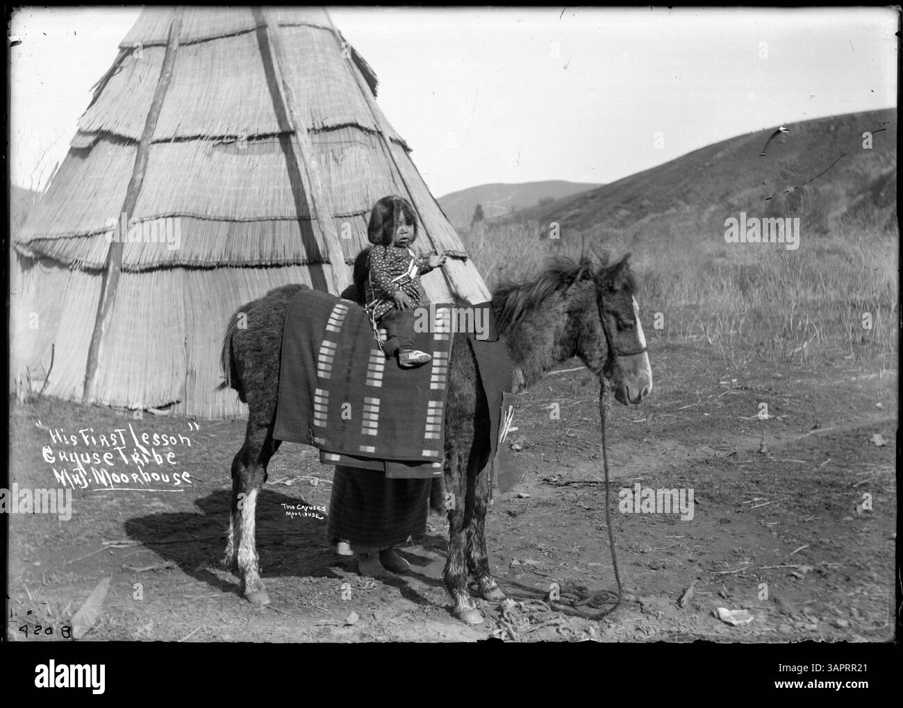 A photograph by Lee Moorhouse depicting a Cayuse Indian child on a pony ...