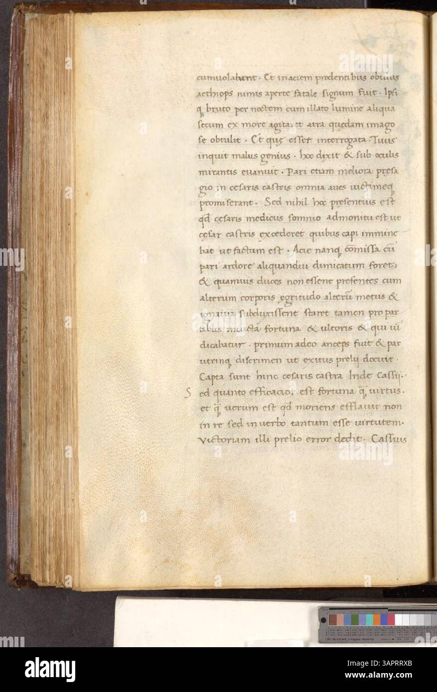 This text offers a concise summary of Roman history as presented by ...