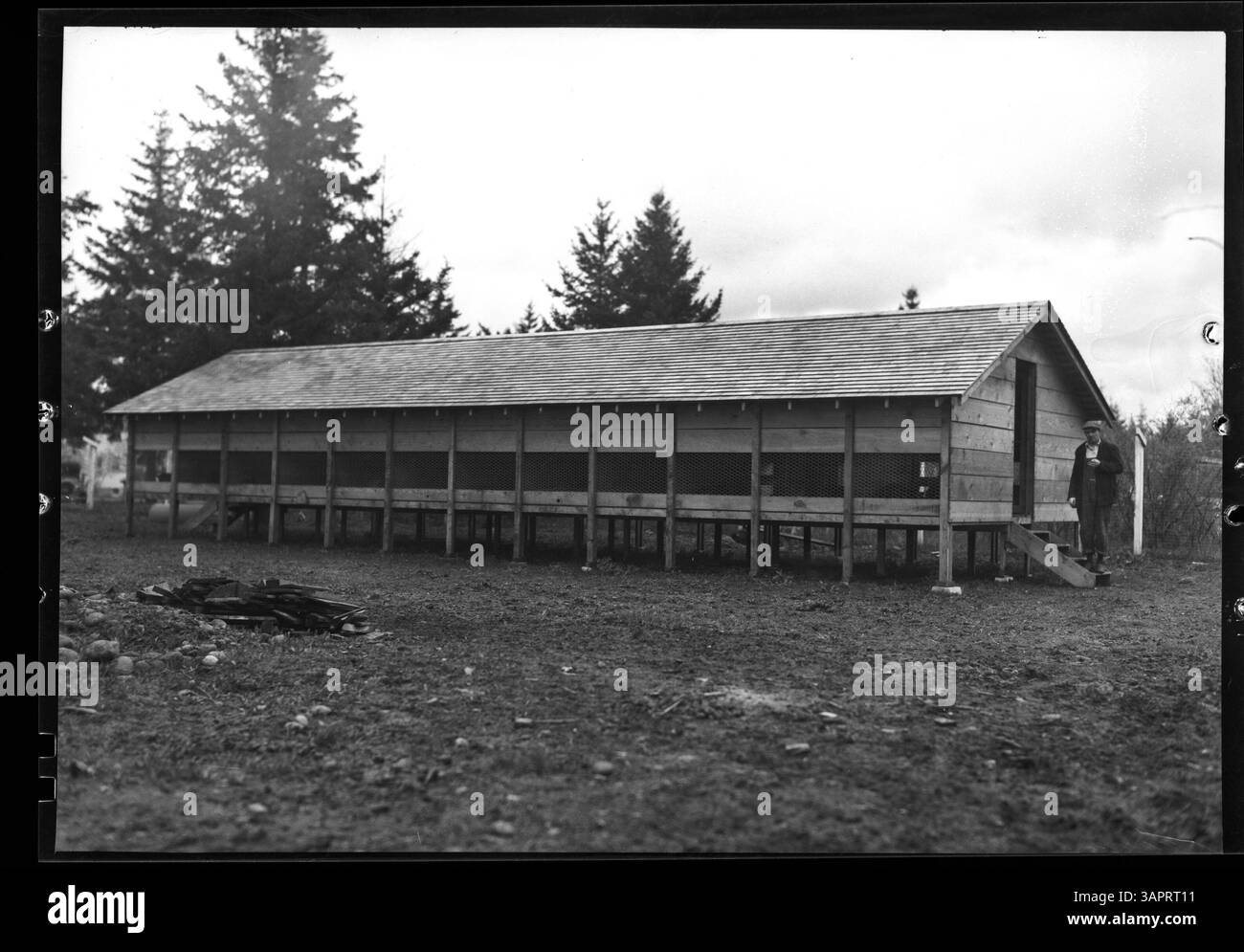 Photograph of a structure built for housing foxes, captured in the ...