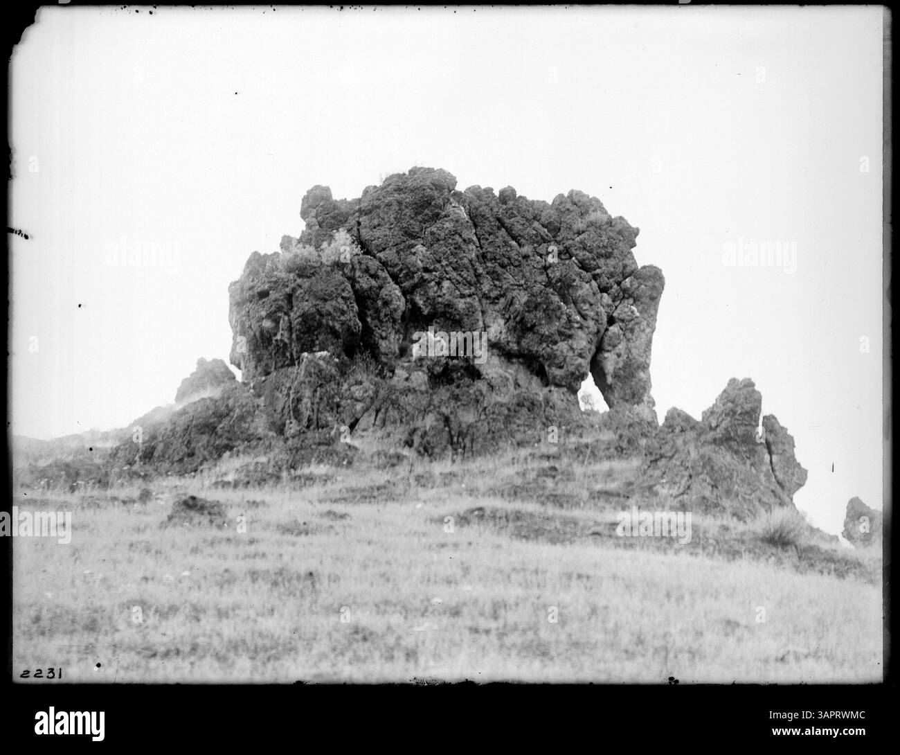 This photograph shows Elephant Rock, located near Gibbon, Oregon. The ...