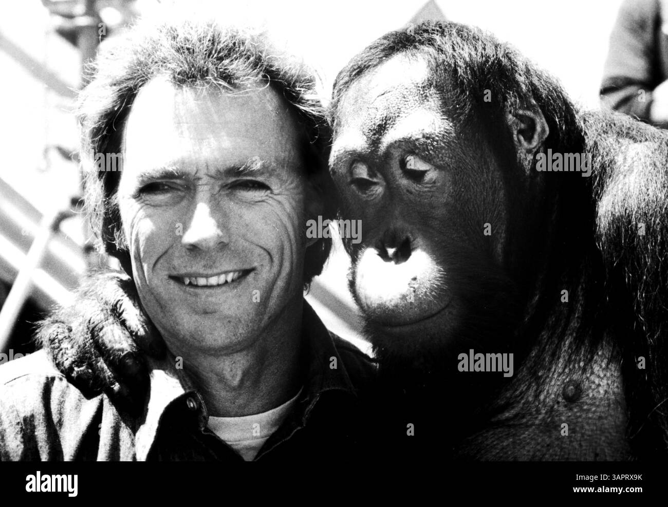 Clyde the orangutan hi-res stock photography and images - Alamy