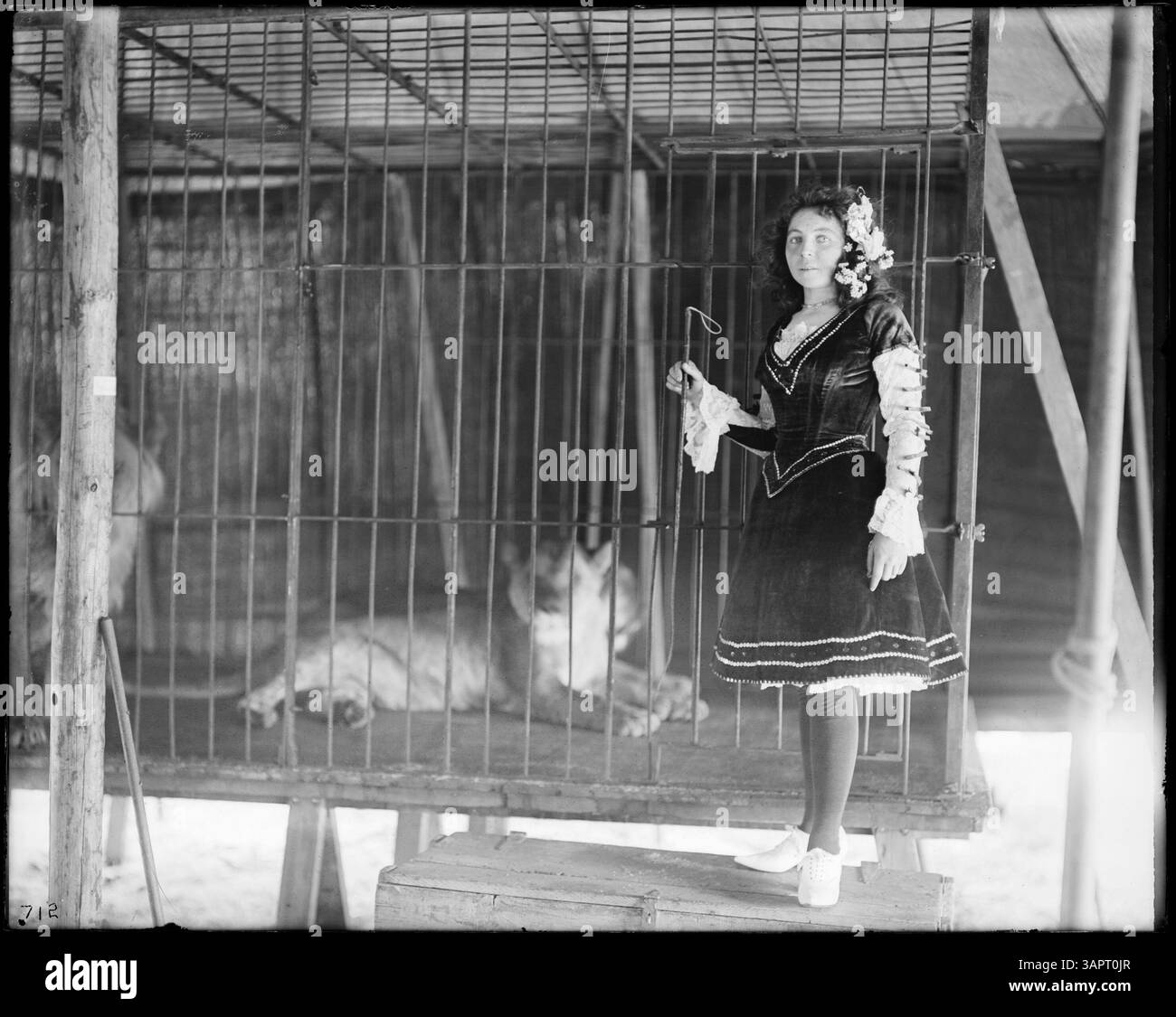 Lady lion tamer hi-res stock photography and images - Alamy