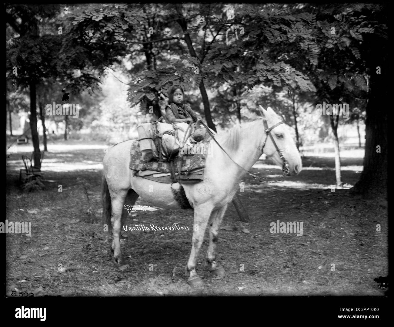 Photograph featuring tribal children on horseback, captured by Lee ...