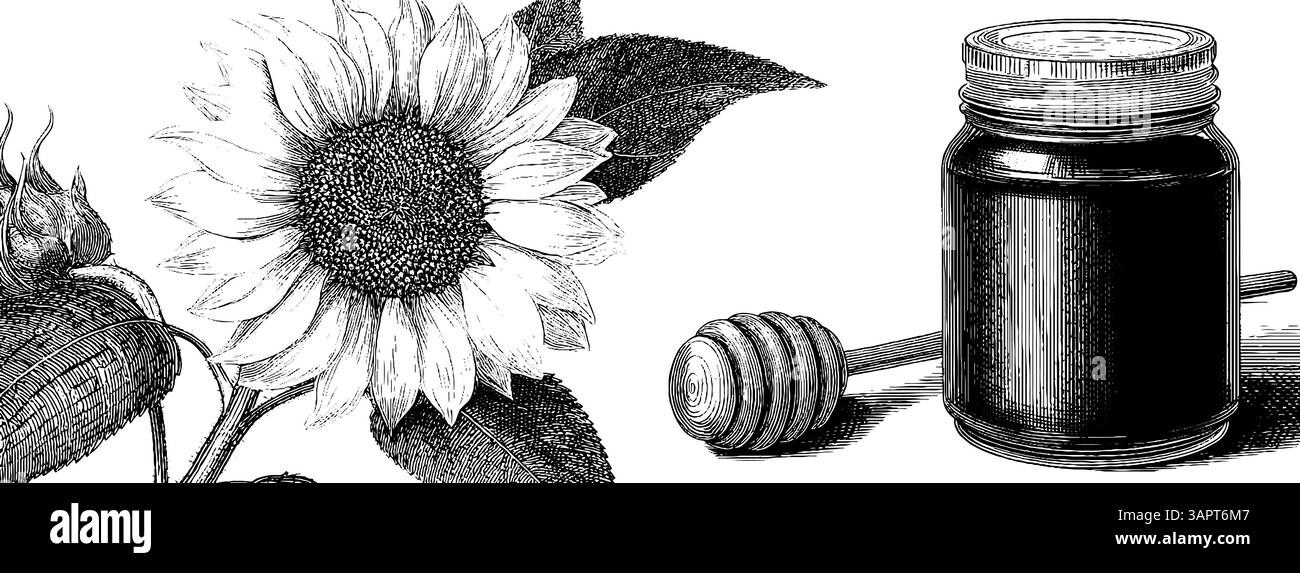 Engraved fruit illustration set featuring strawberry and watermelon for ...