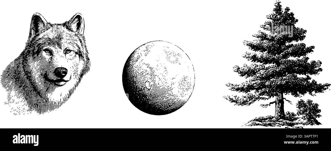 Engraved nature set featuring wolf, moon, and pine tree for art and ...