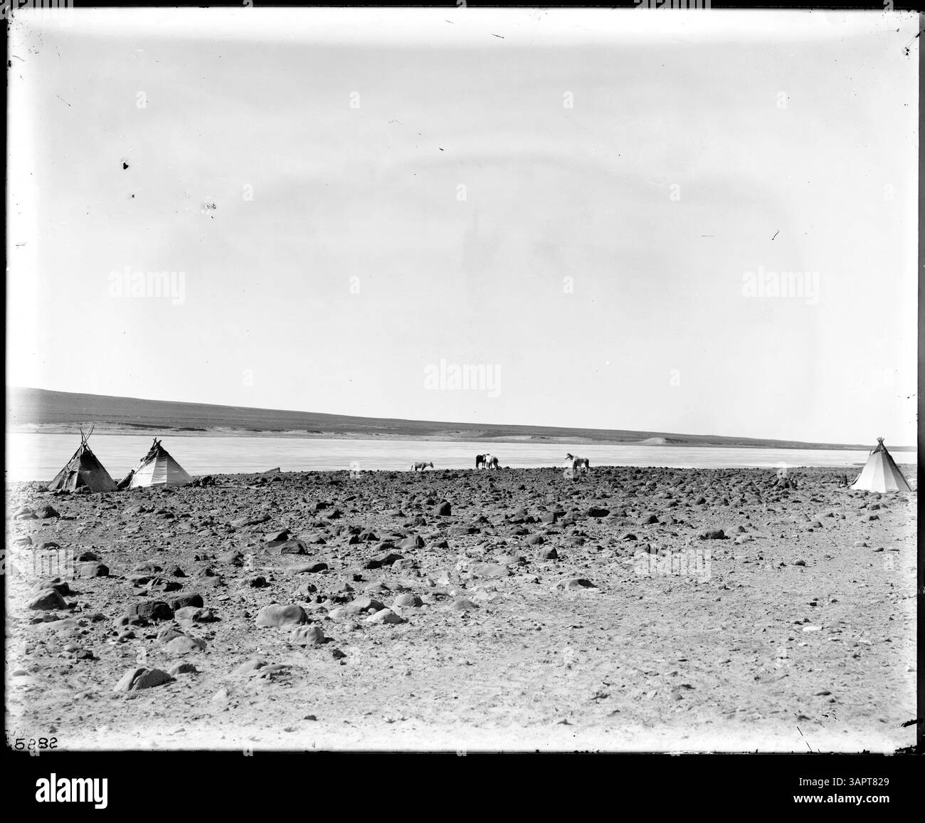 The photograph shows dwellings of the Columbia River Indians, providing ...