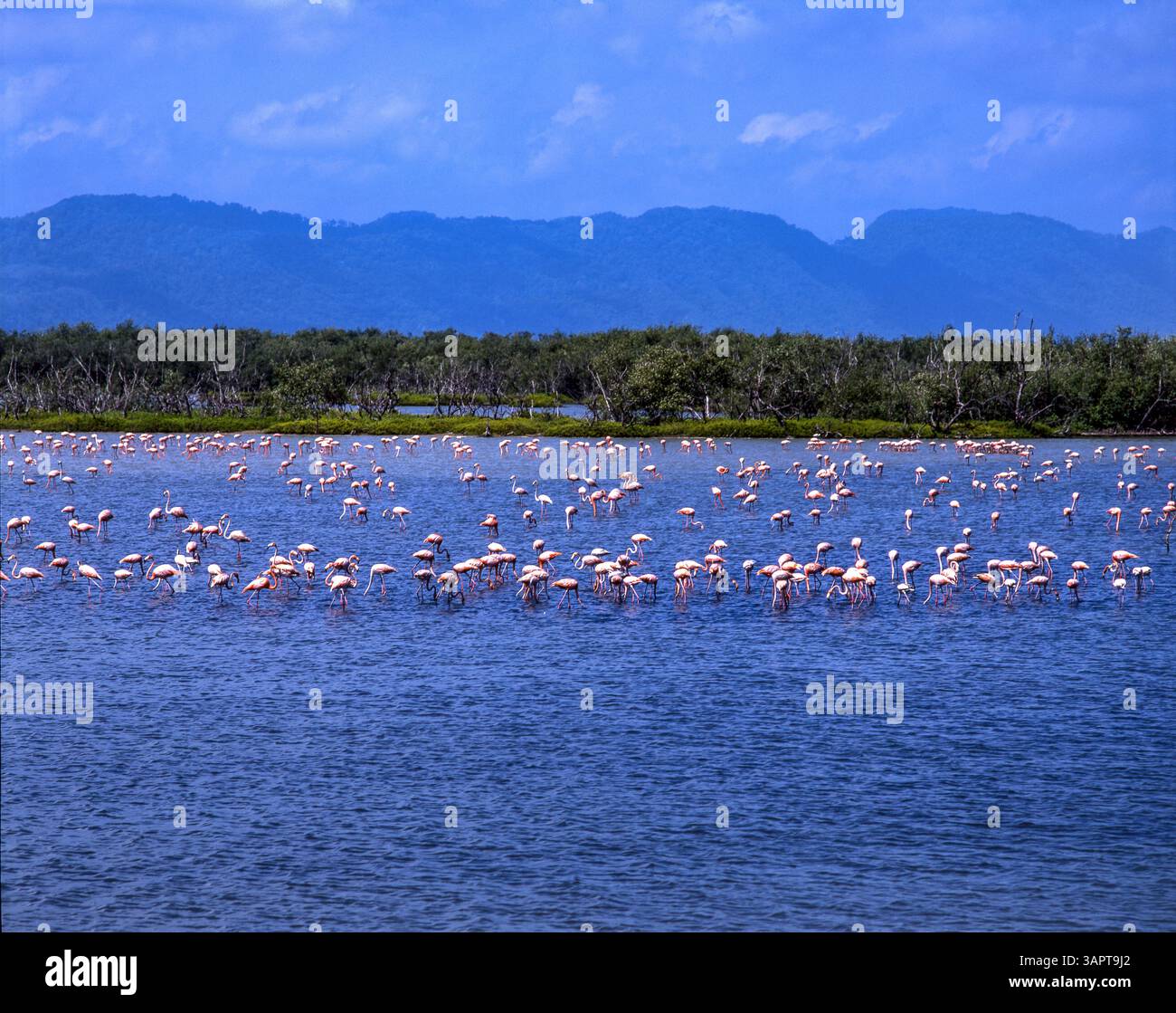 Venezuela. Falcon State. Morrocoy National Park. Cuare Gulf and ...