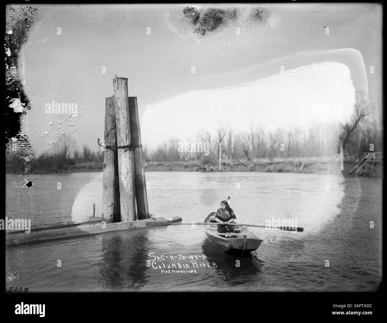 Tirzah trask hi-res stock photography and images - Alamy